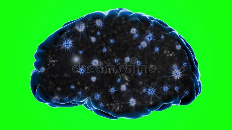 Brain Impulses. Neuron System. Human Anatomy. Transferring Pulses and ...