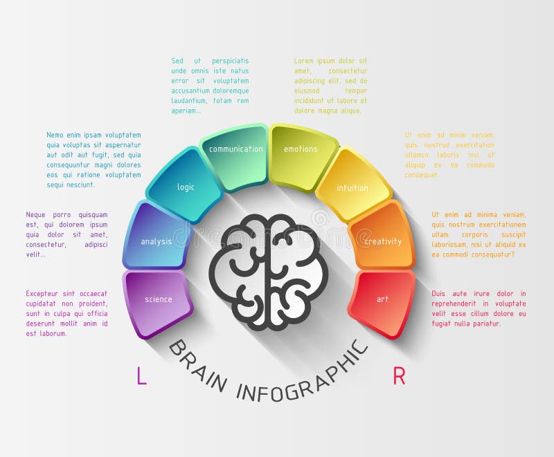 Vector Brain Infographic. Template for Human Head Diagram, Artificial ...