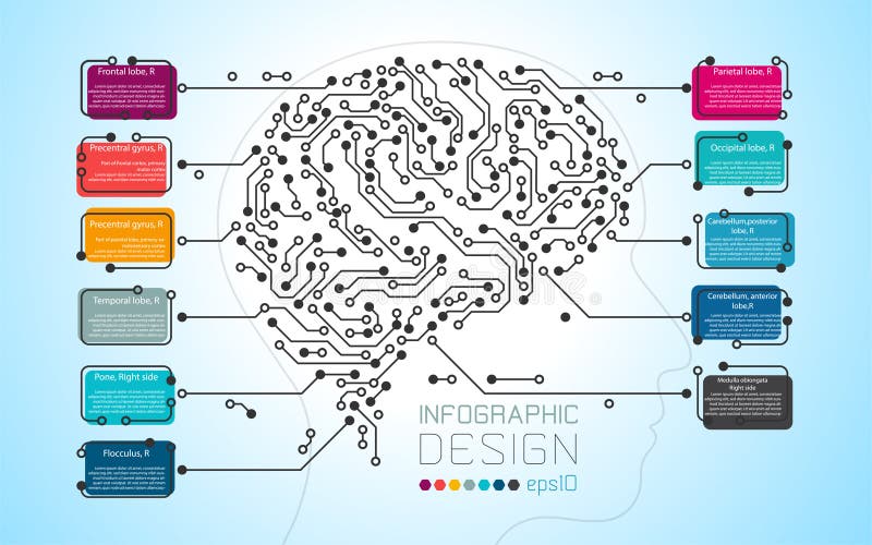 Brain Infographic Template with Technology Concept Stock Vector ...