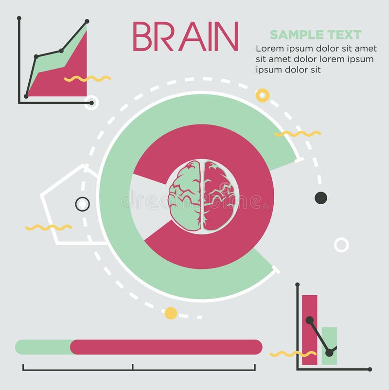 Brain Infographic. Vector Illustration Decorative Design Stock Vector ...