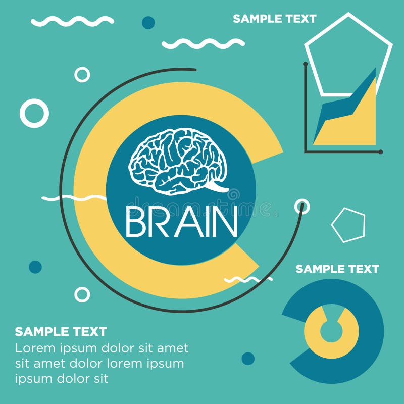 Brain Infographic. Vector Illustration Decorative Design Stock Vector ...