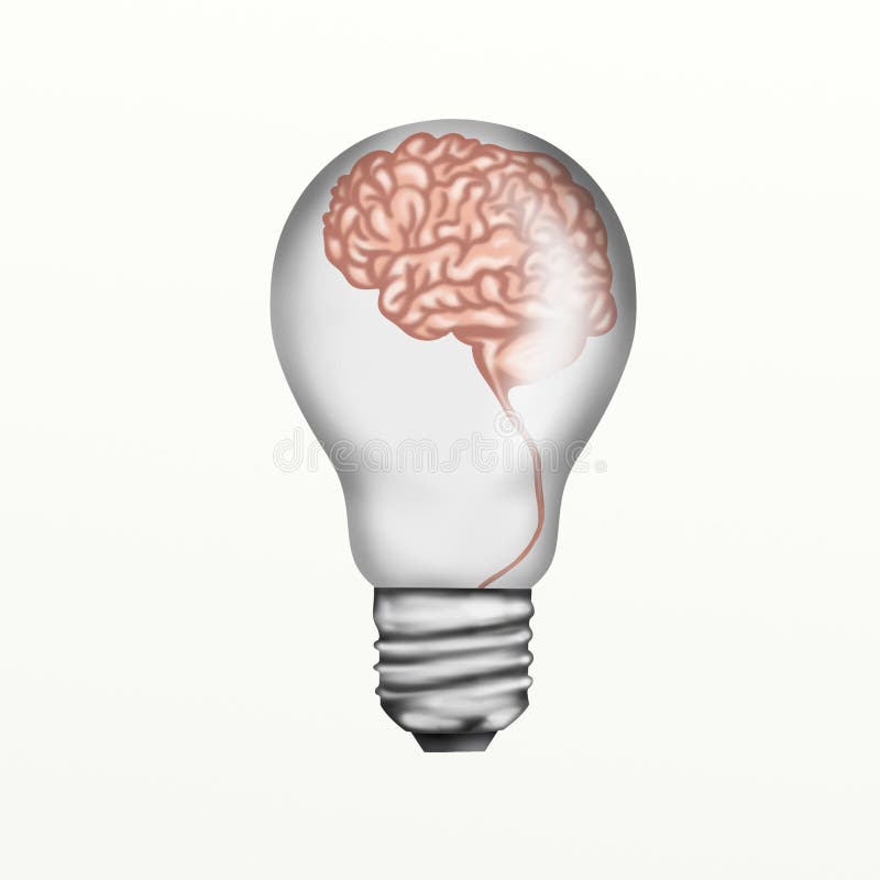 Brain inside bulb stock illustration. Illustration of creative - 39354889