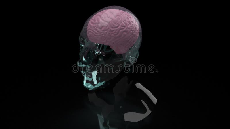 The Brain Inside Crystal Head for Education or Sci Content 3d Rendering ...