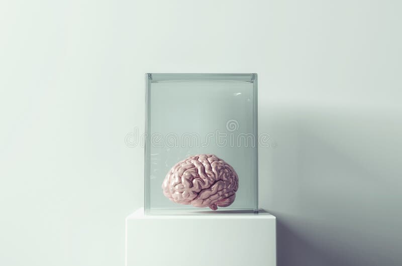 Brain inside a glass cube stock illustration. Illustration of genius ...
