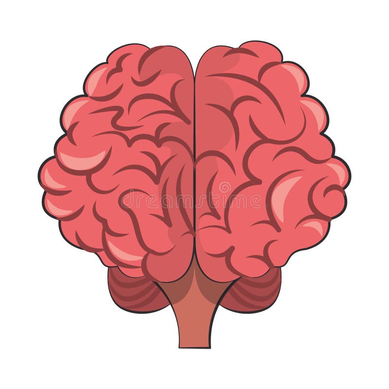 Human Brain Intelligence and Creativity Cartoons Stock Vector ...