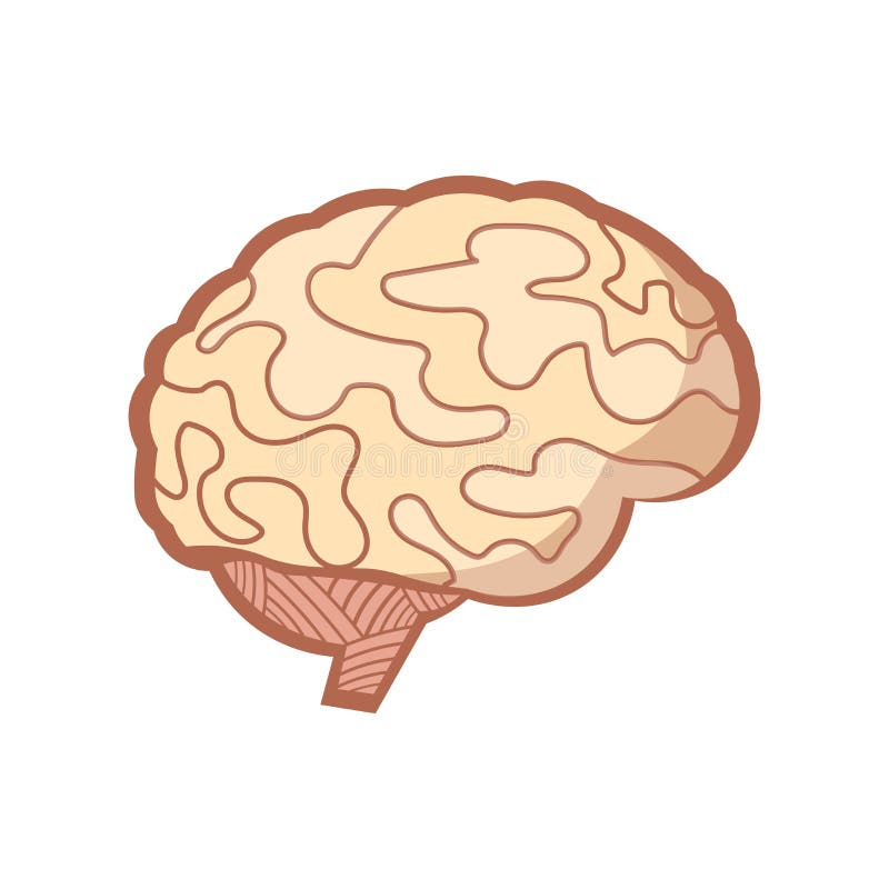 Brain Isolated Illustration. Brain Flat Icon White Background. Brain ...