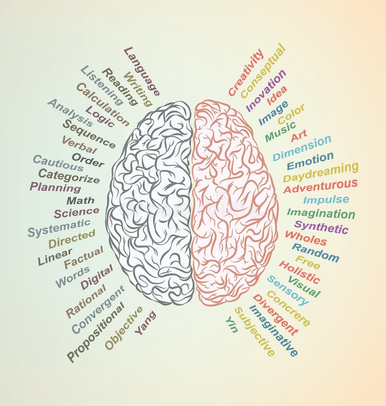 Holistic Brain Stock Illustrations – 748 Holistic Brain Stock ...