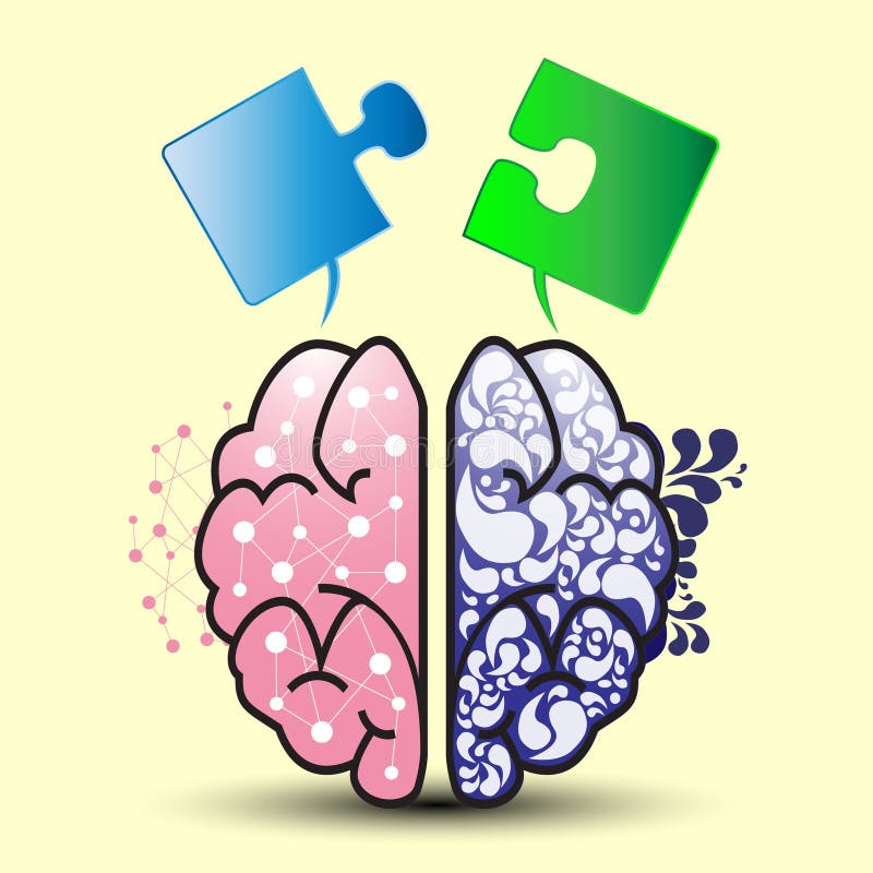 Brain left and right stock vector. Illustration of right - 50815682