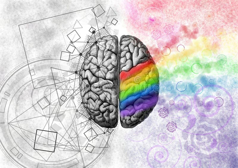 Left and Right Human Brain with Social Infographic on Logical Side ...