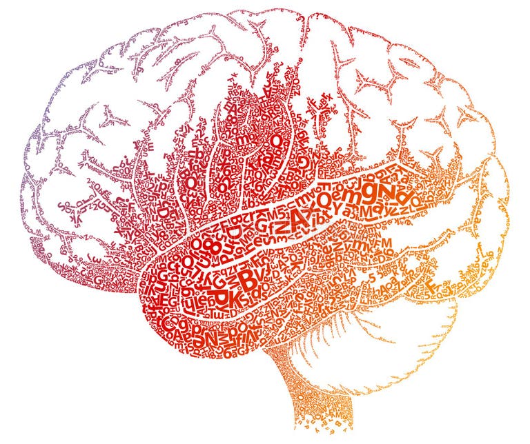 Head Brain Numbers Stock Illustrations – 783 Head Brain Numbers Stock ...