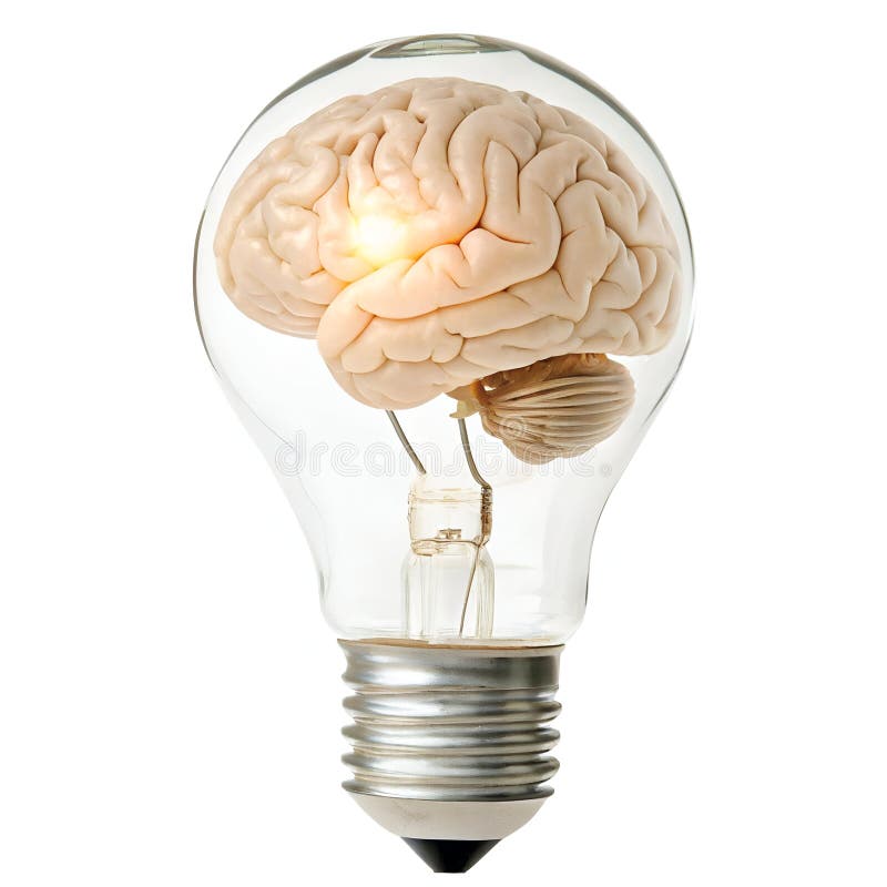 Brain in Lightbulb Isolated on White Background Stock Illustration ...