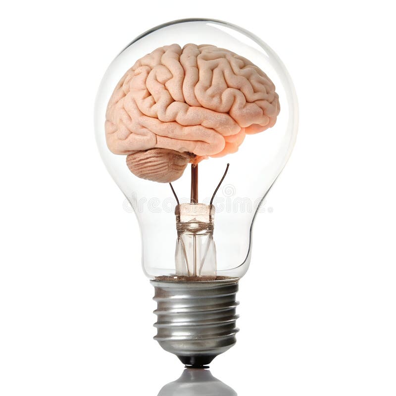 Brain in Lightbulb Isolated on White Background Stock Illustration ...
