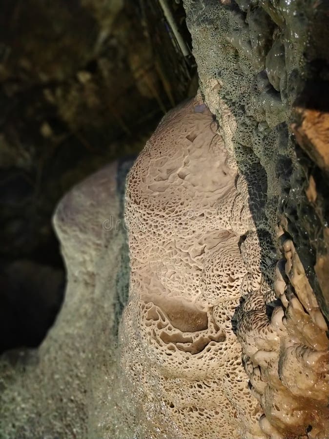 Brain like surface design stock image. Image of design - 1845033