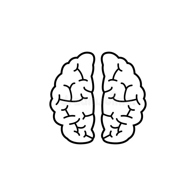 Brain Line Icon, Brainstorm and Idea, Medical Stock Vector ...