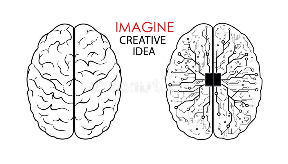 Brain Logo Vector Illustration on White Background. the Brain Image is ...