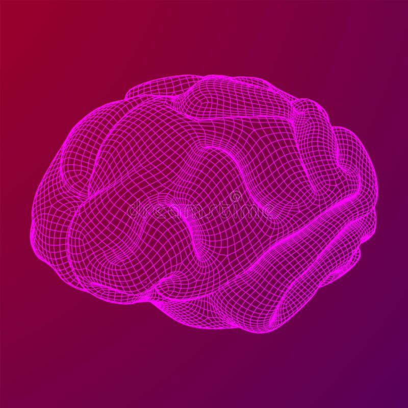 Brain. Low Poly Abstract Digital Human Brain. Wireframe Illustration ...