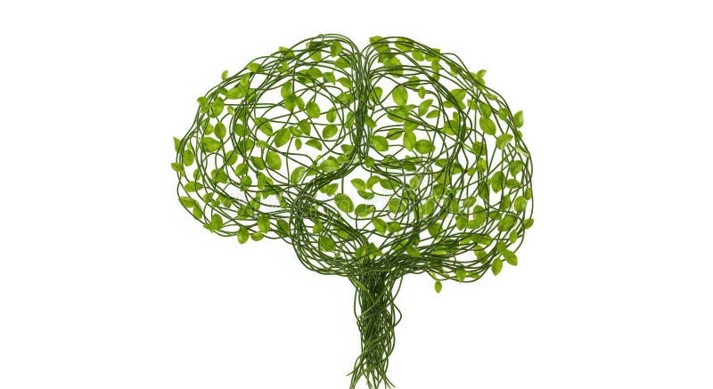 Brain Tree: Growth, Knowledge, and Nature Stock Illustration ...
