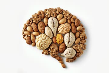 Peanut Brain Stock Illustrations – 65 Peanut Brain Stock Illustrations ...