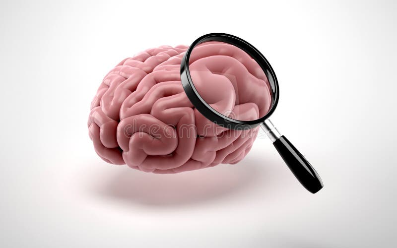 3d Brain magnifier stock illustration. Illustration of health - 39409487