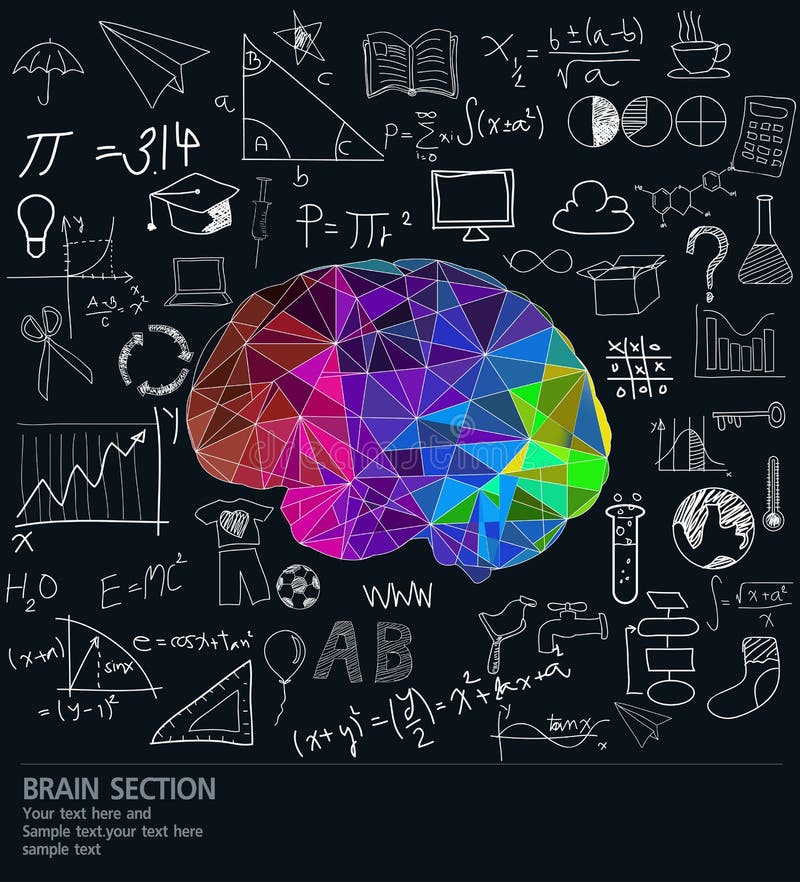 Vector Education Brain Infographic. Template for Human Mind Diagram ...