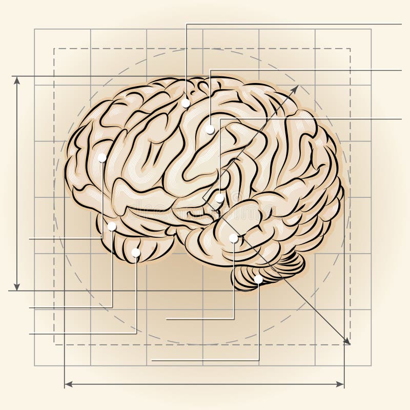 Brain Map stock vector. Illustration of symbol, direction - 30318551