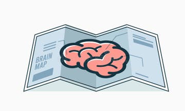 The Brain Map. Isolated Vector Illustration Stock Illustration ...