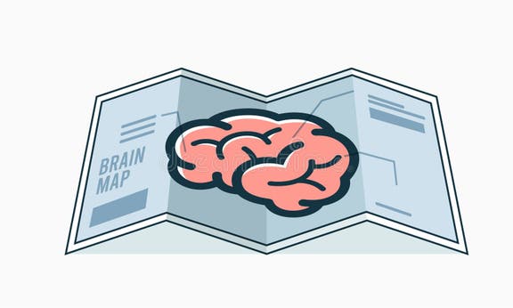The Brain Map. Isolated Vector Illustration Stock Illustration ...