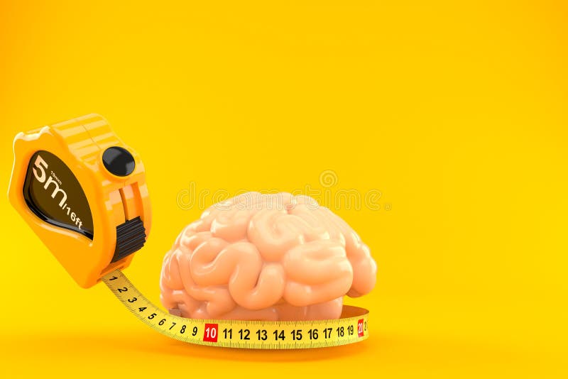 Brain with measuring tape stock illustration. Illustration of ...