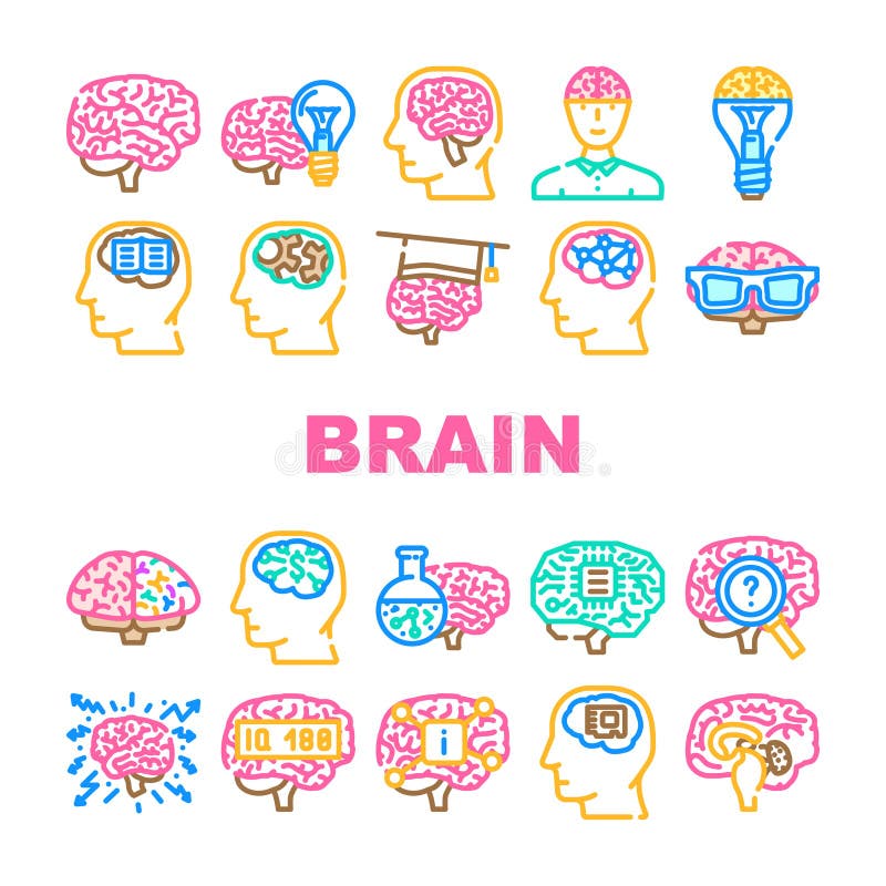 Brain Mind Human Head Icons Set Vector Stock Vector - Illustration of ...