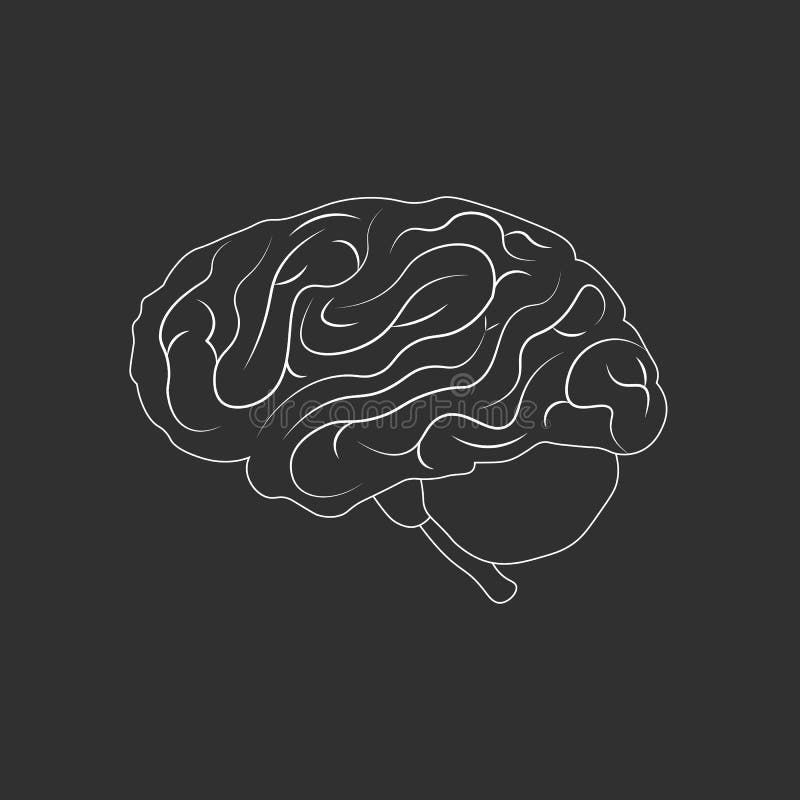 Brain or Mind Side Outline Vector Icon. Medical Illustration Stock ...