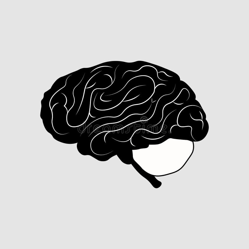 Brain or Mind Side View L Vector Icon for Medical Websites Stock ...