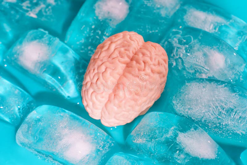 Brain Model on Ice Cubes in Turquoise Background Stock Photo - Image of ...