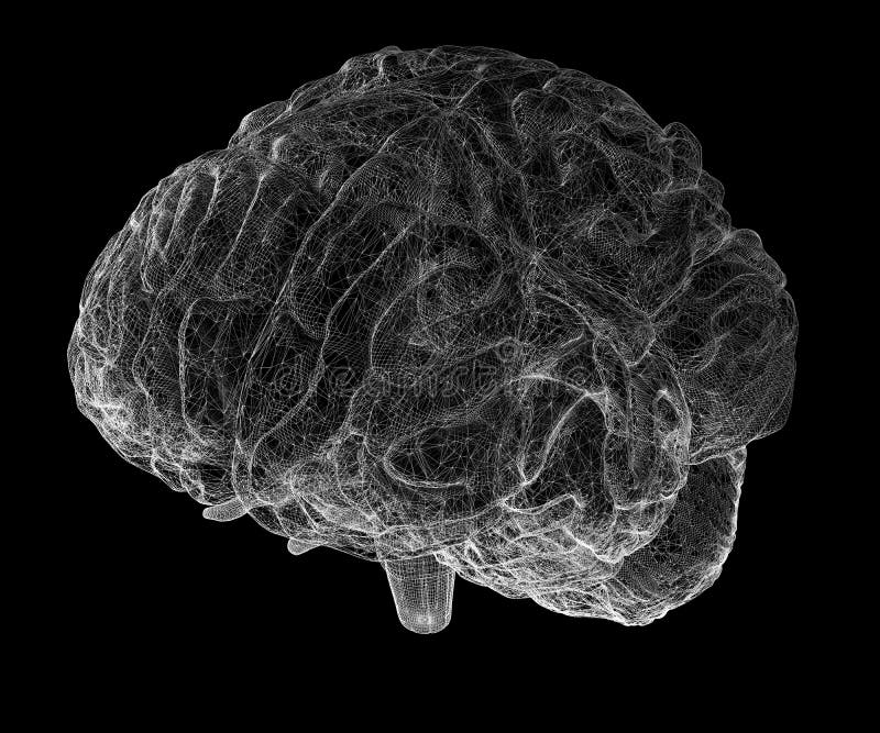 Brain stock illustration. Illustration of creativity - 50398361