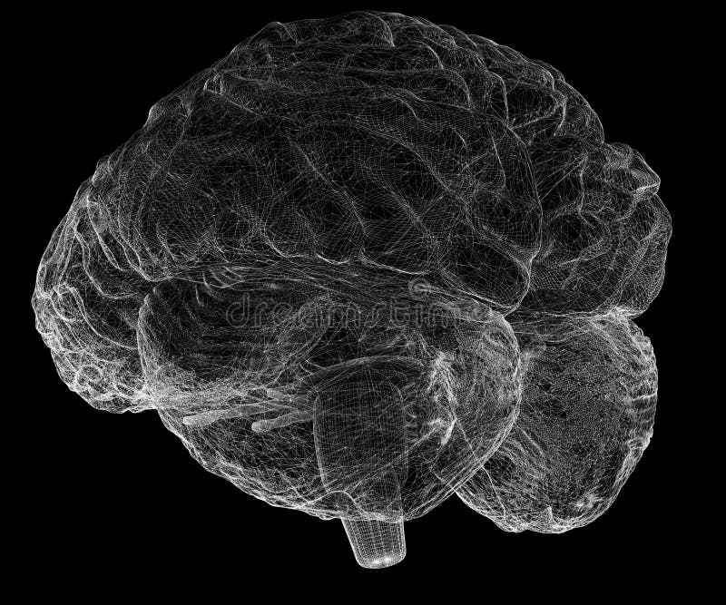 Brain stock illustration. Illustration of experiment - 50399063