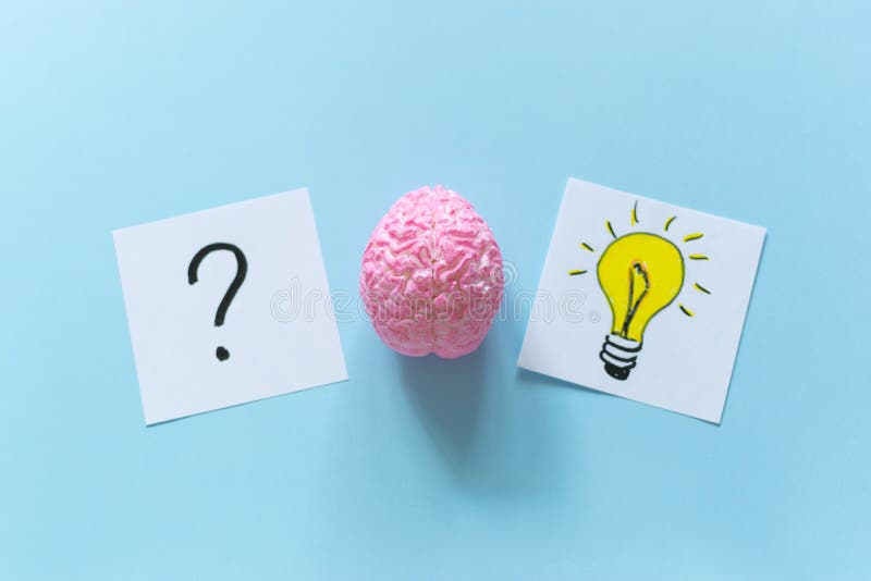 Brain Model and Question Mark. Stock Photo - Image of bulb, bright ...
