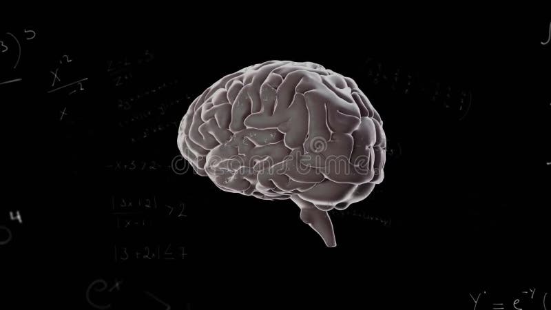 Brain Model Rendering Floating Against Black Backdrop, Showing Glowing ...