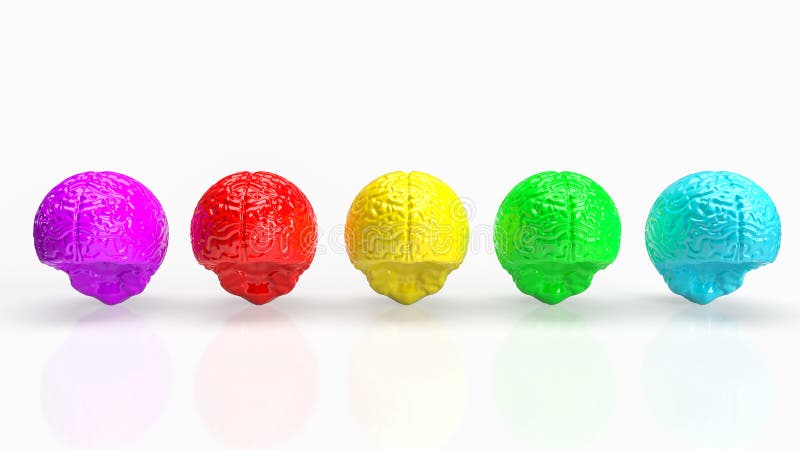 The Brain Multi Color on White Background for Creative Concept 3d ...