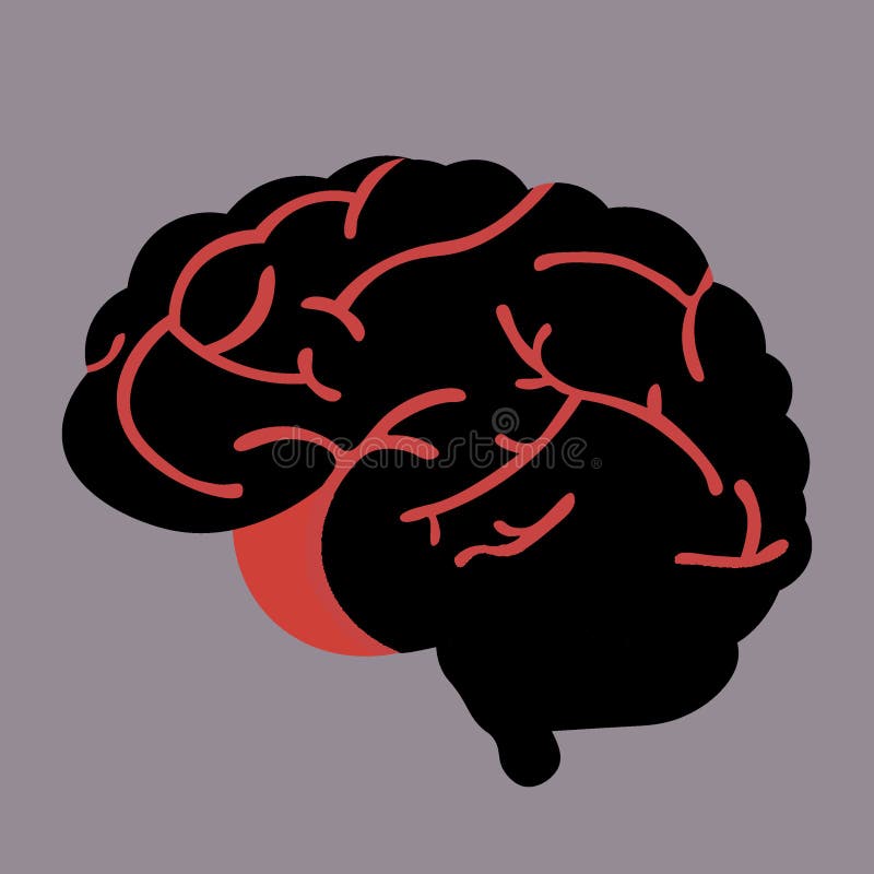 Black Color Brain Illustration with Nerves Stock Illustration ...