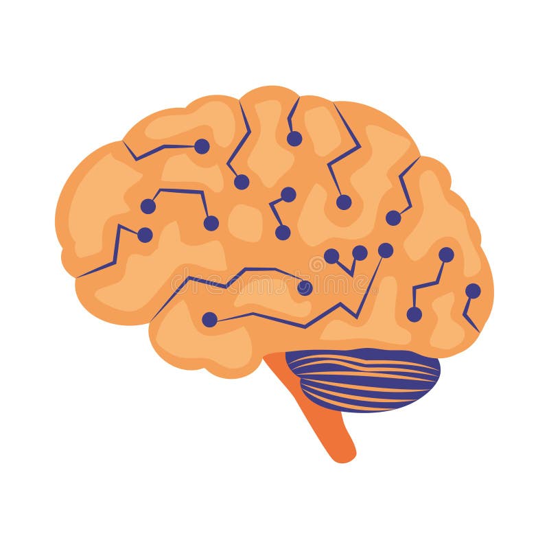 Brain with Neural Connections Illustration Stock Vector - Illustration ...