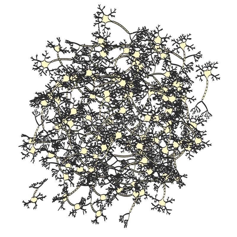 Brain neuron stock illustration. Illustration of network - 69723441