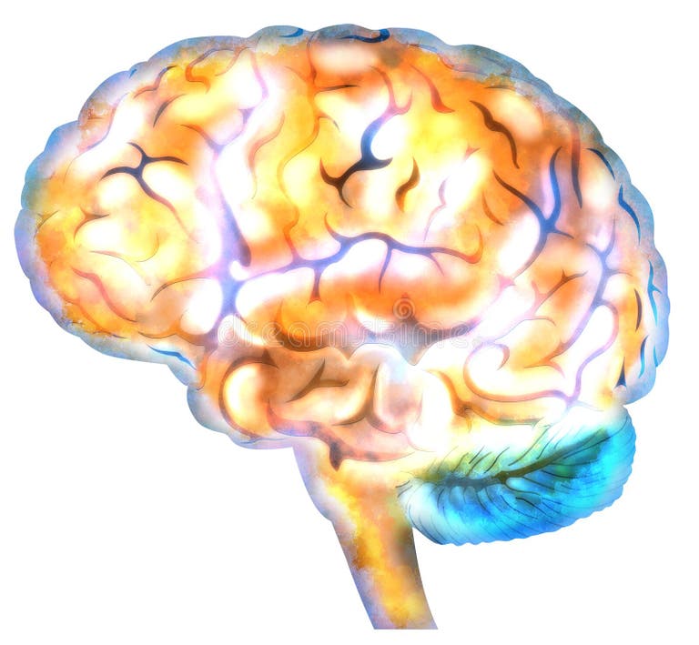 Clinical Reasoning Stock Illustrations – 47 Clinical Reasoning Stock ...