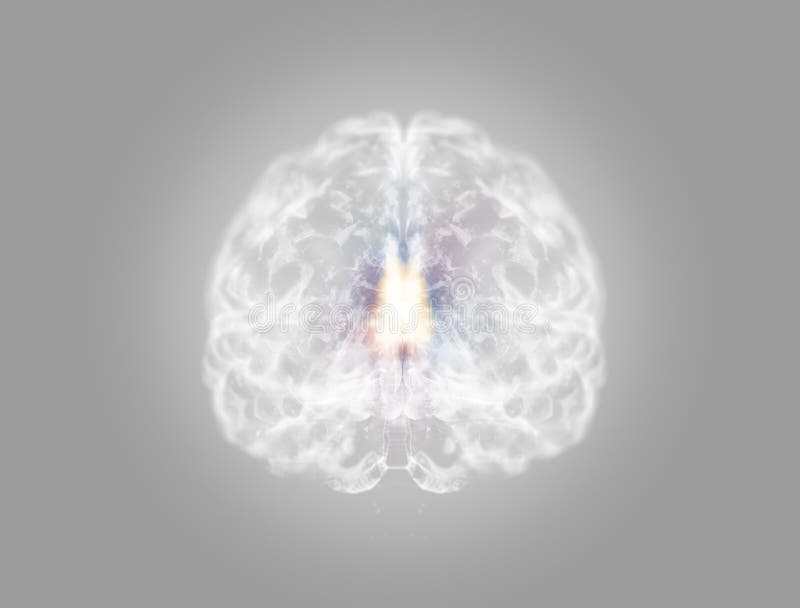 Neuron with Axons, Inverted Black and White Abstract Texture Stock ...