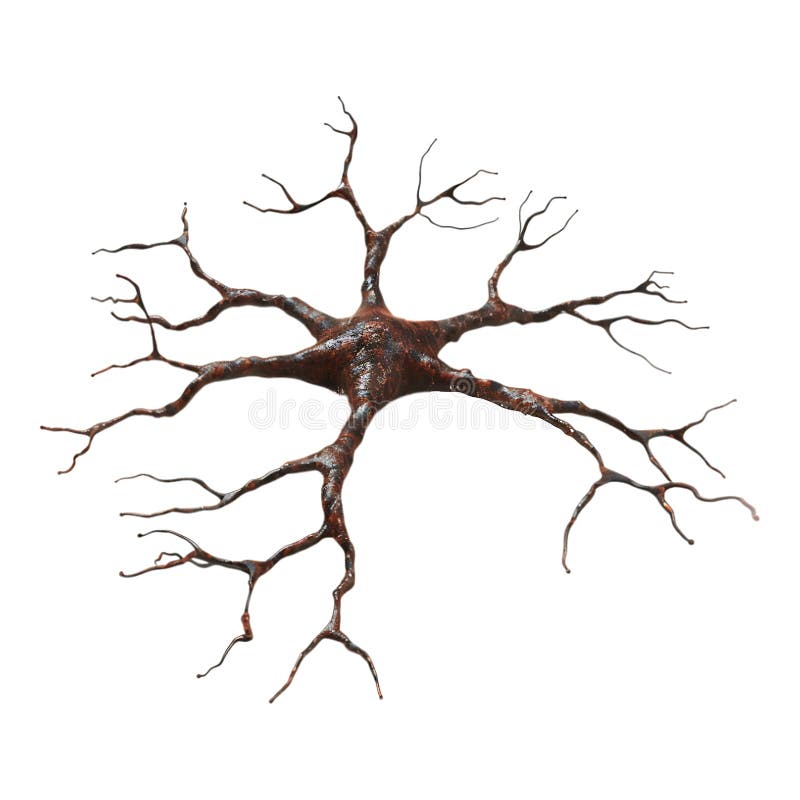 Brain Neuron on Transparent Background - Ai Generated Stock ...