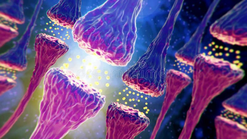 Brain Neurons – a Detailed Microscopic View Stock Footage - Video of ... Brain Neurons – a Detailed Microscopic View Stock Footage - Video of ...