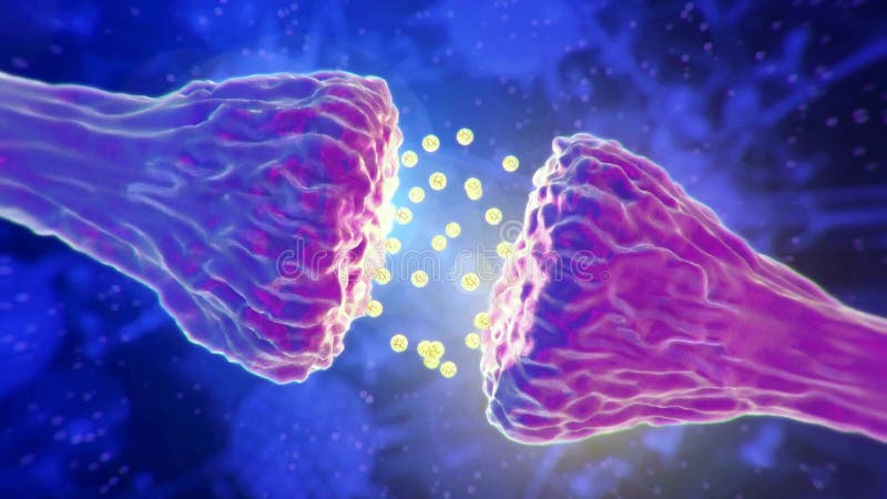 Brain Neurons a Detailed View of Brain Neurons Stock Video - Video of ...