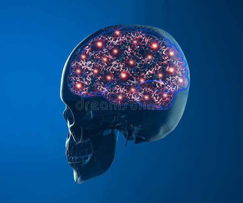 Brain Synapses Learning