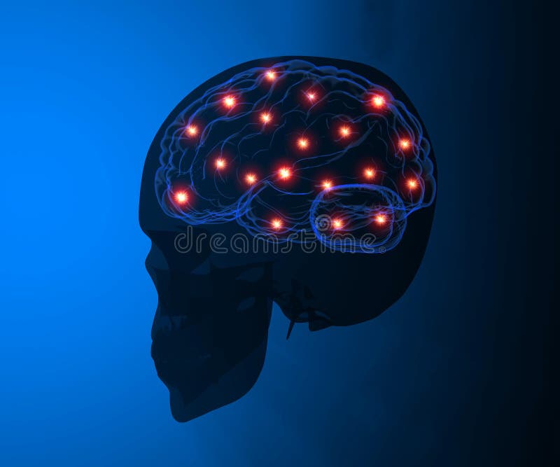 Brain Neurons Synapse, Anatomy, Head Profile, Stock Illustration ...