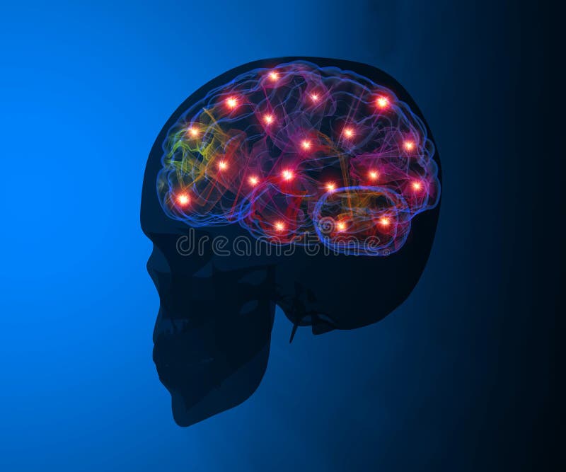 Brain Neurons Synapse Functions Stock Illustration - Illustration of ...