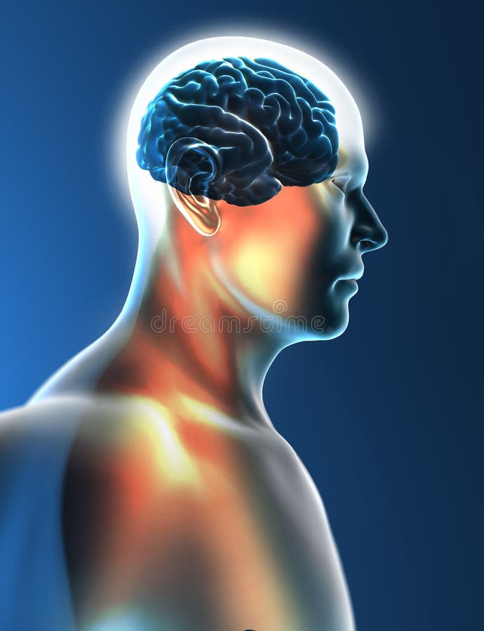 Illustration men and brain stock illustration. Illustration of health ...