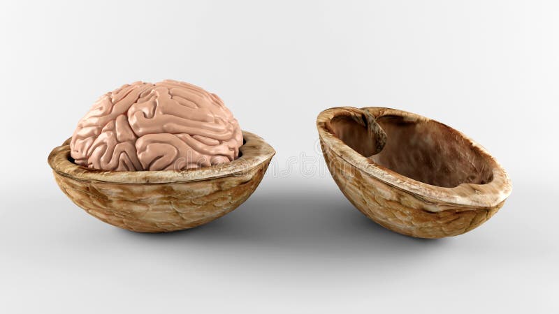 Brain Of The Nuts And Tools Stock Image - Image of body, fasten: 54076433